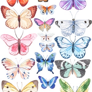 Butterfly Print, Papillon Print, Butterfly Poster, Butterfly ...