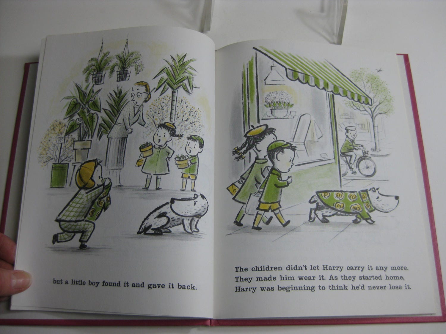 Vintage No Roses For Harry children's book by Gene Zion Children's ...