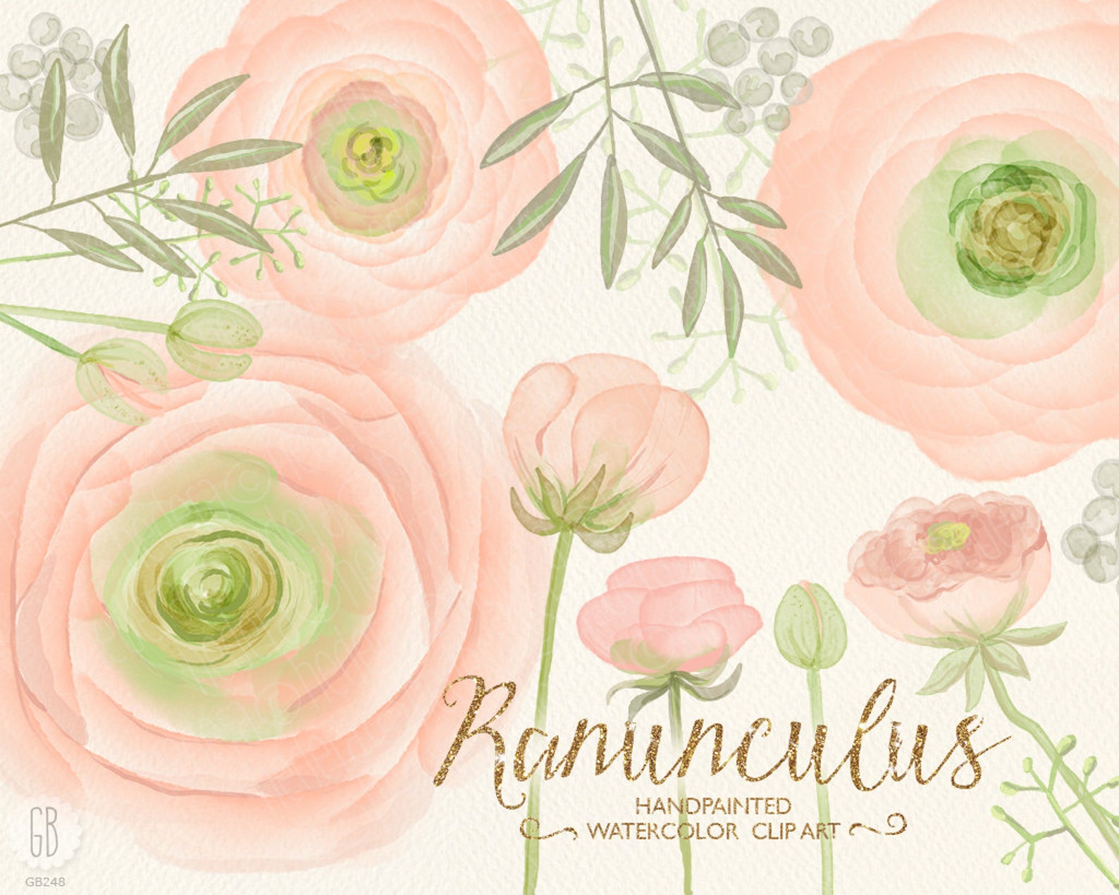 Watercolor Ranunculus, Blush Pink Buttercups, Hand Painted, Cream Pink ...