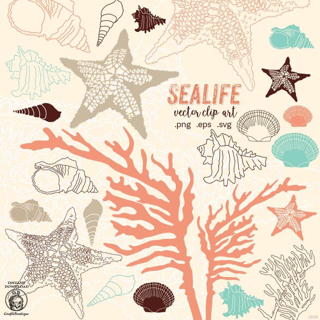 Nautical Clip Art, Beach Images, Coral Starfish Shell Vector Clipart ...