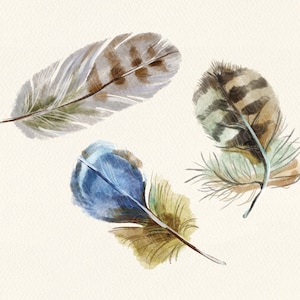 Watercolor Feathers, Hand Painted Feather, Png Clip Art, Watercolor ...