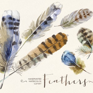 Watercolor Feathers, Hand Painted Feather, Png Clip Art, Watercolor ...