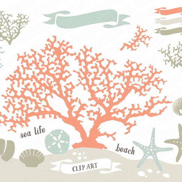 Sand Dollar Clip Art - Etsy