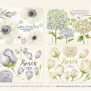 Watercolor Pansies, Pansy, Hand Painted Spring Flowers, Viola, Bouquet ...