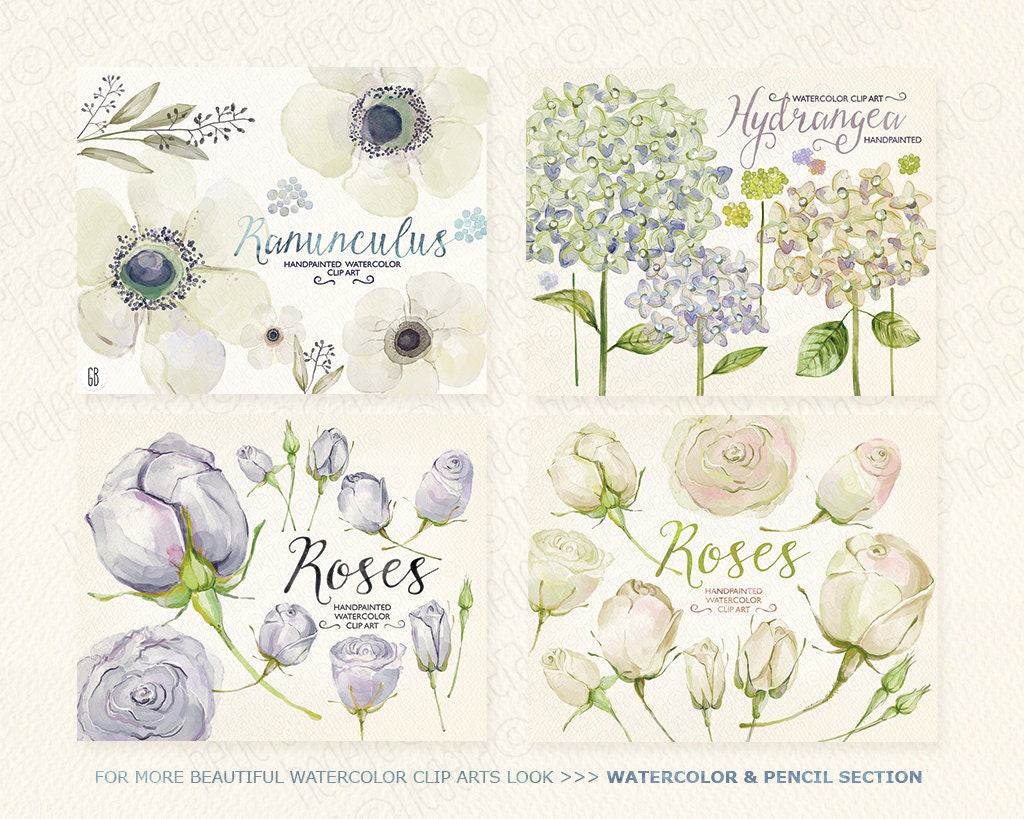 Watercolor Pansies Pansy Hand Painted Spring Flowers Viola | Etsy