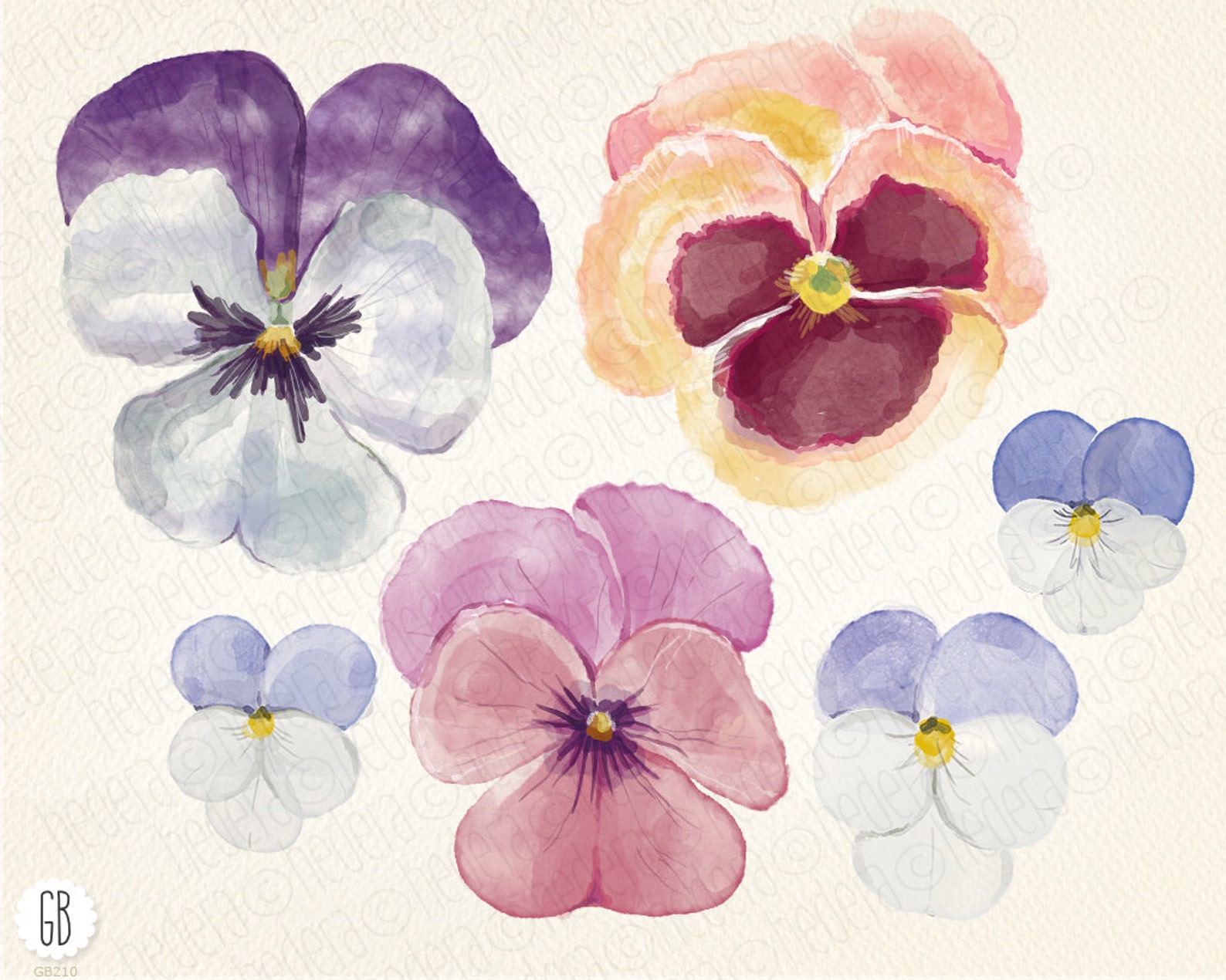 Watercolor Pansies, Pansy, Hand Painted Spring Flowers, Viola, Bouquet ...