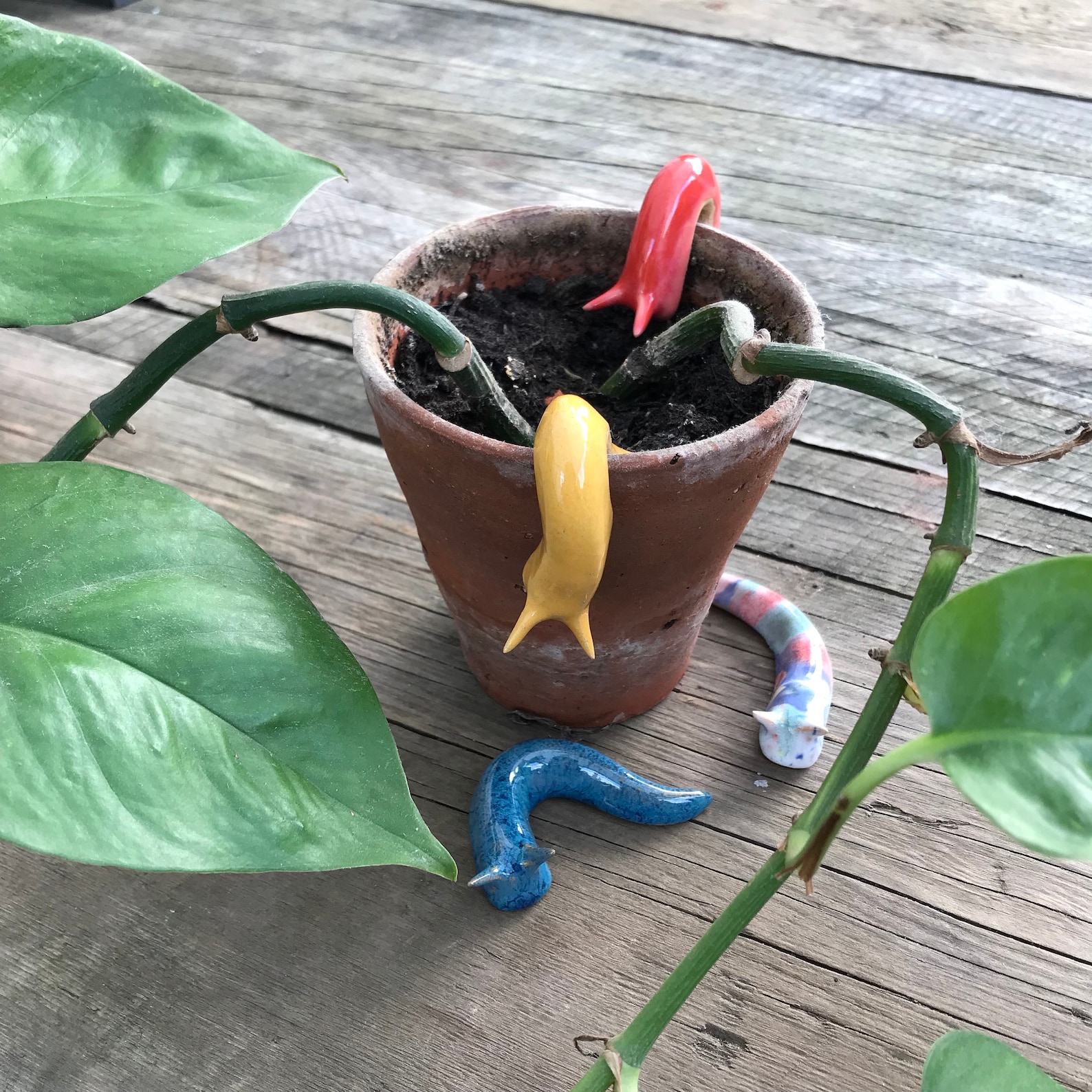 Ceramic Slugs Assorted Pack of X3 - Etsy