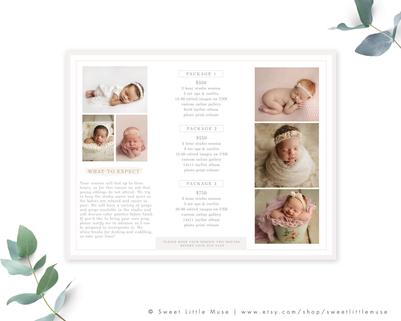 Photography Client Guide Photography Price Guide Newborn - Etsy