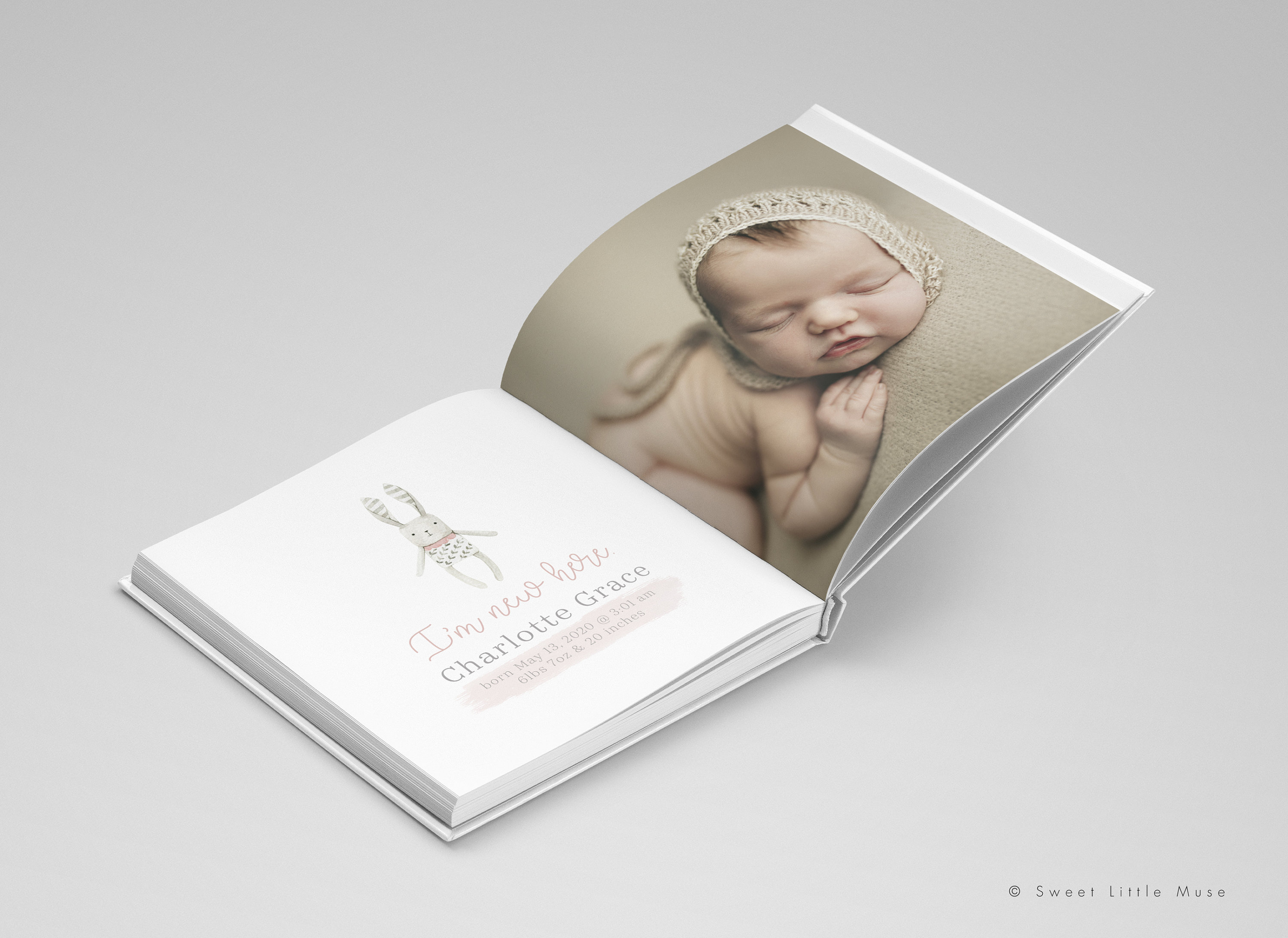 Milestone Baby Album Template for Photographers Baby's | Etsy