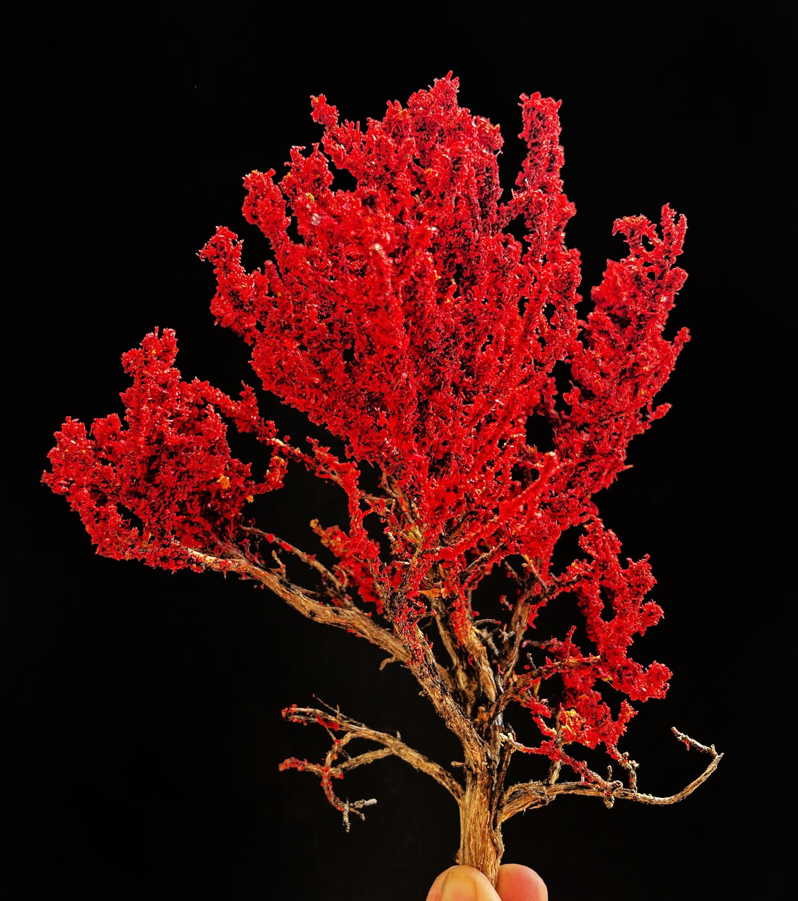Handmade Red Autumn Miniature Tree: Diorama Scenery - Etsy