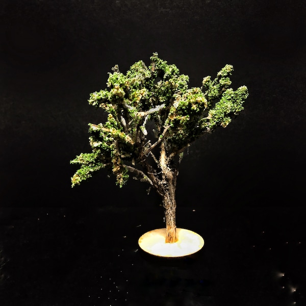 Miniature Oak Tree - Etsy