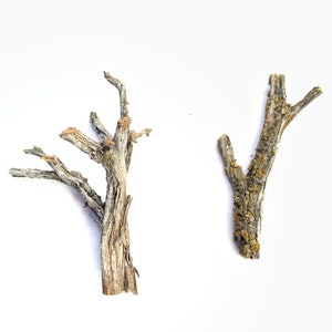 10 Model Tree Deadfall Armatures Miniature for Dioramas, Wargaming ...