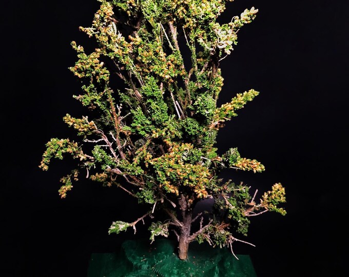 Large Green Completed Model Tree Miniature for Dioramas, Wargaming ...