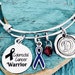 Colorectal Cancer, Warrior, Colon Cancer, Rectum Cancer, Silver ...
