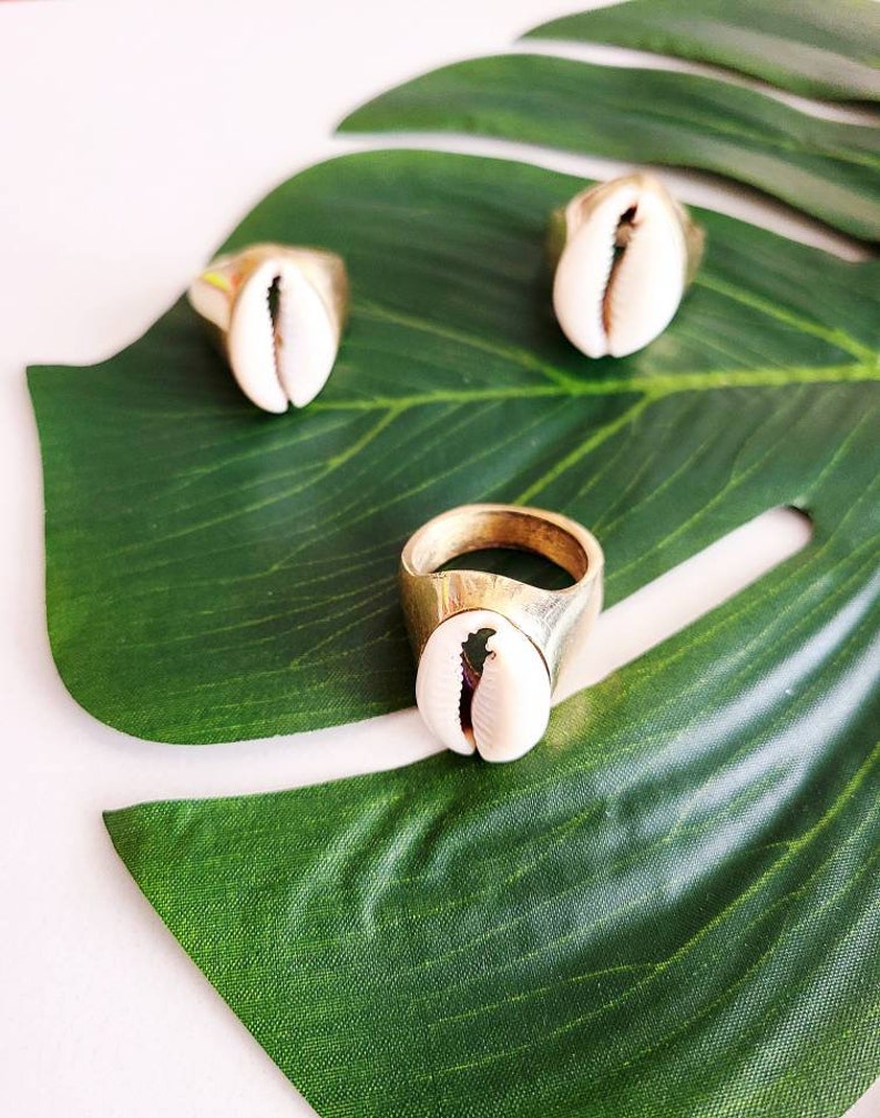 Solid Brass Cowrie Shell Ring Sea Shell Ring Natural - Etsy UK
