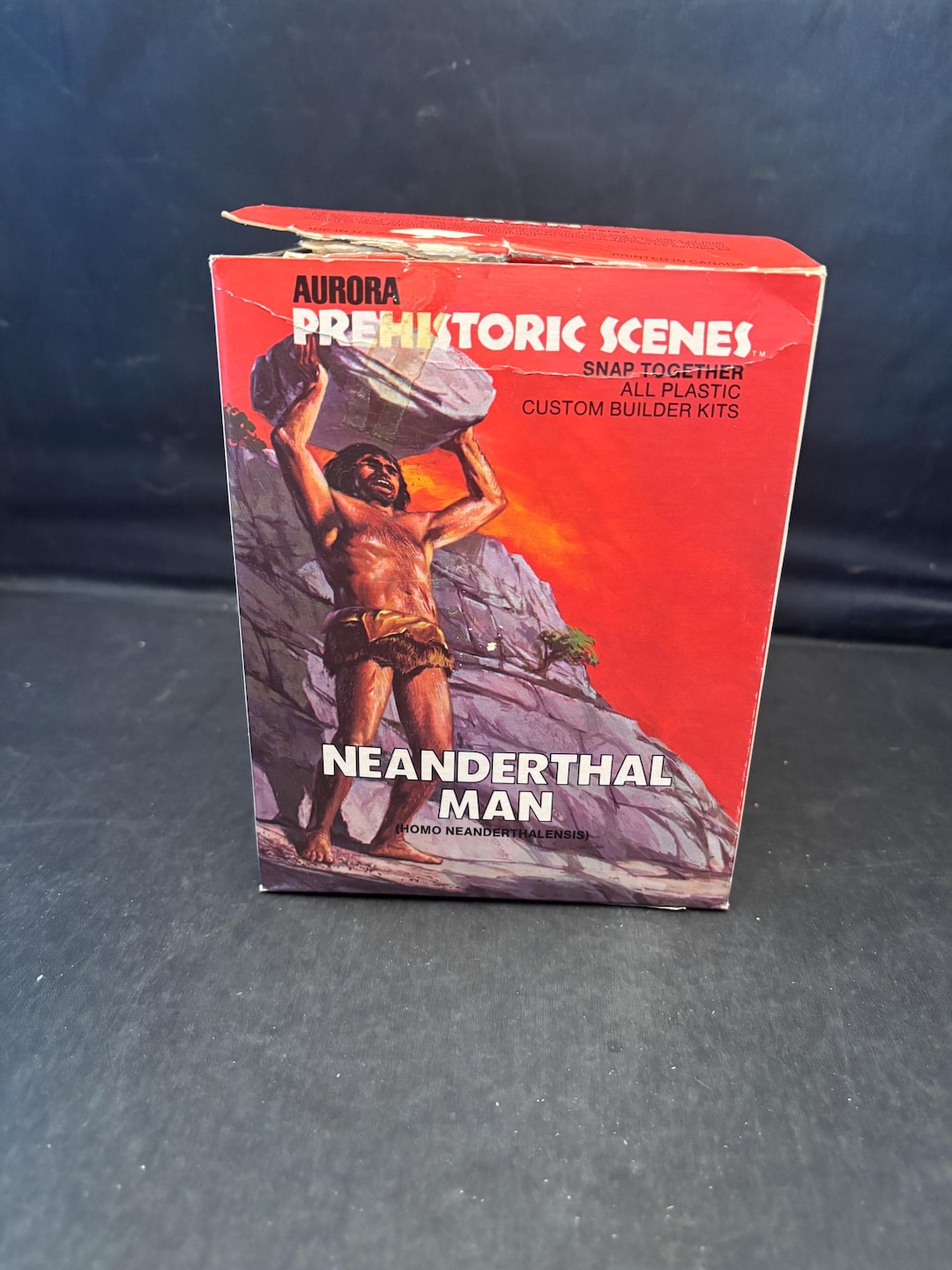 1972 Aurora Prehistoric Scenes Neanderthal Man Model - Etsy