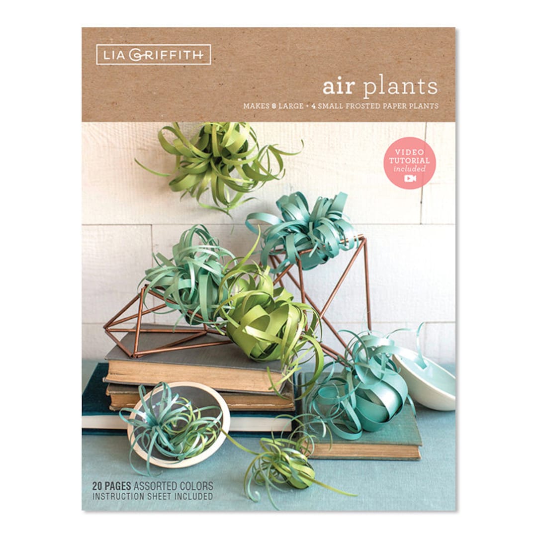 Lia Griffith Frosted Paper Air Plants Kit - Etsy