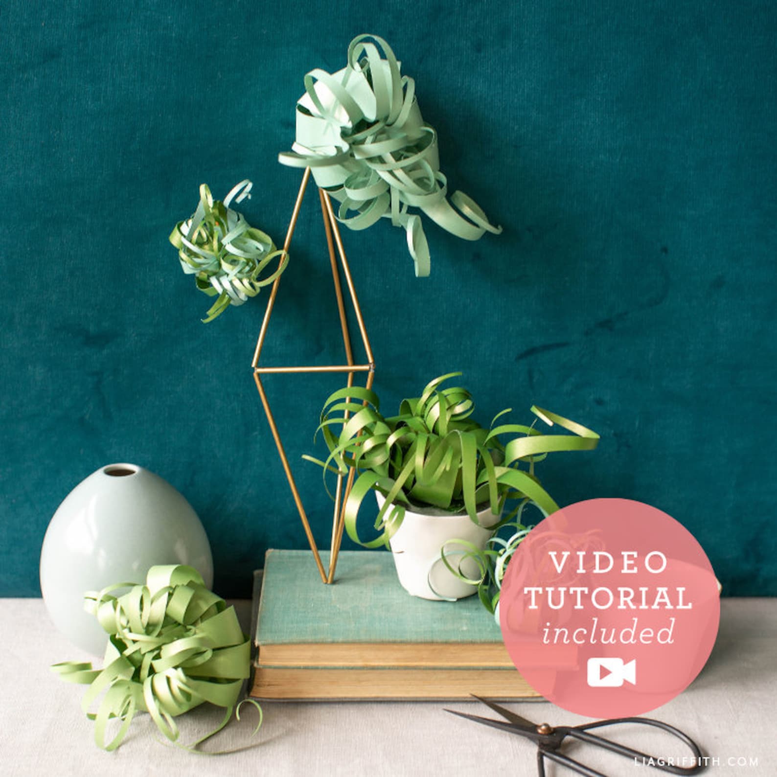 Lia Griffith Frosted Paper Air Plants Kit - Etsy