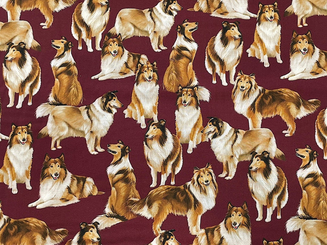 Dog Breed Fabric - Collie Fabric - Dog Fabric - Cotton Fabric - DOG-81 ...