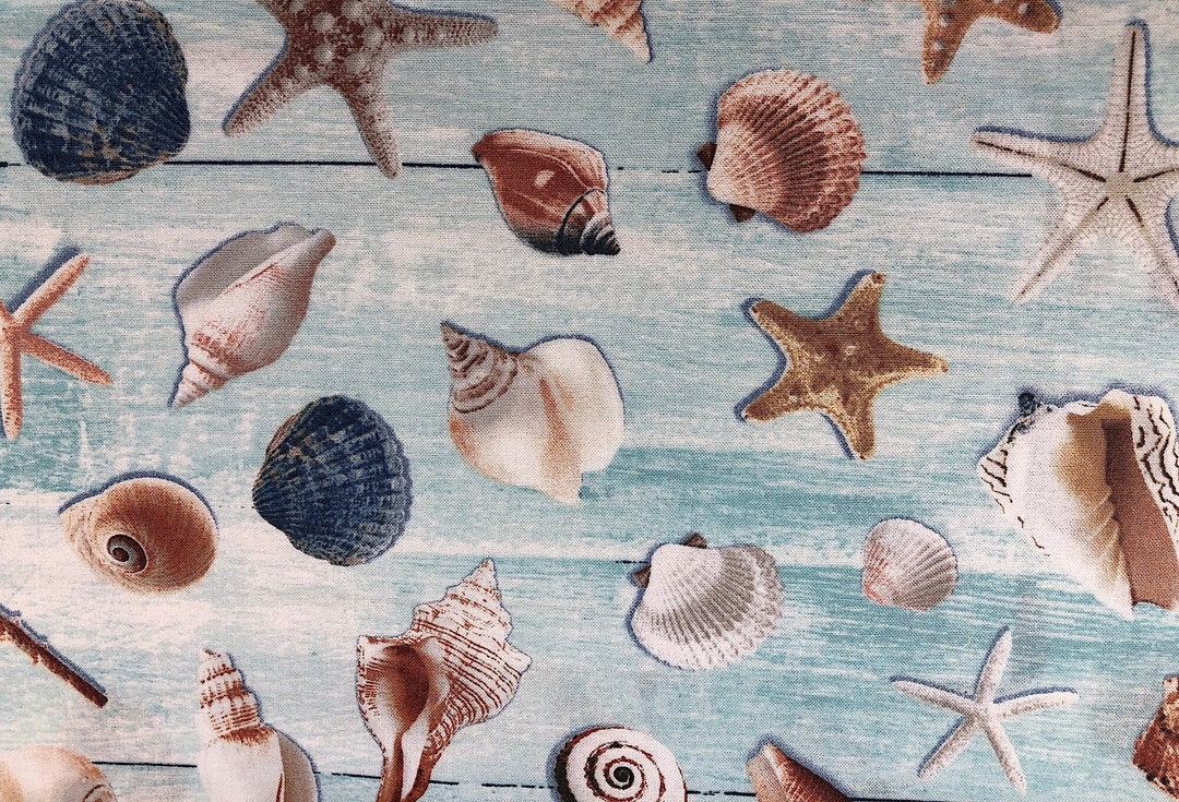 All Over Seashells - Seashell Fabric - Nautical Fabric - Cotton Fabric ...