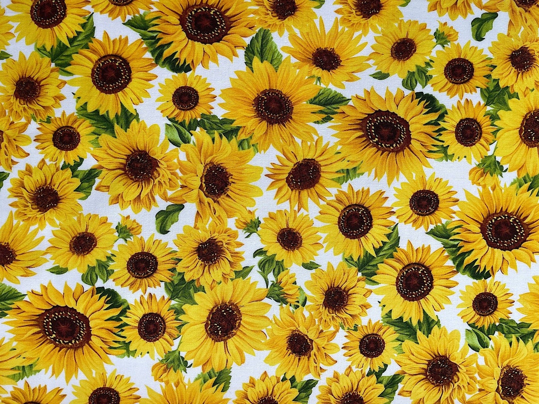 Sunflower Fabric - Sunflower Sunrise - Sunflower Meadow - FL-260 - Etsy