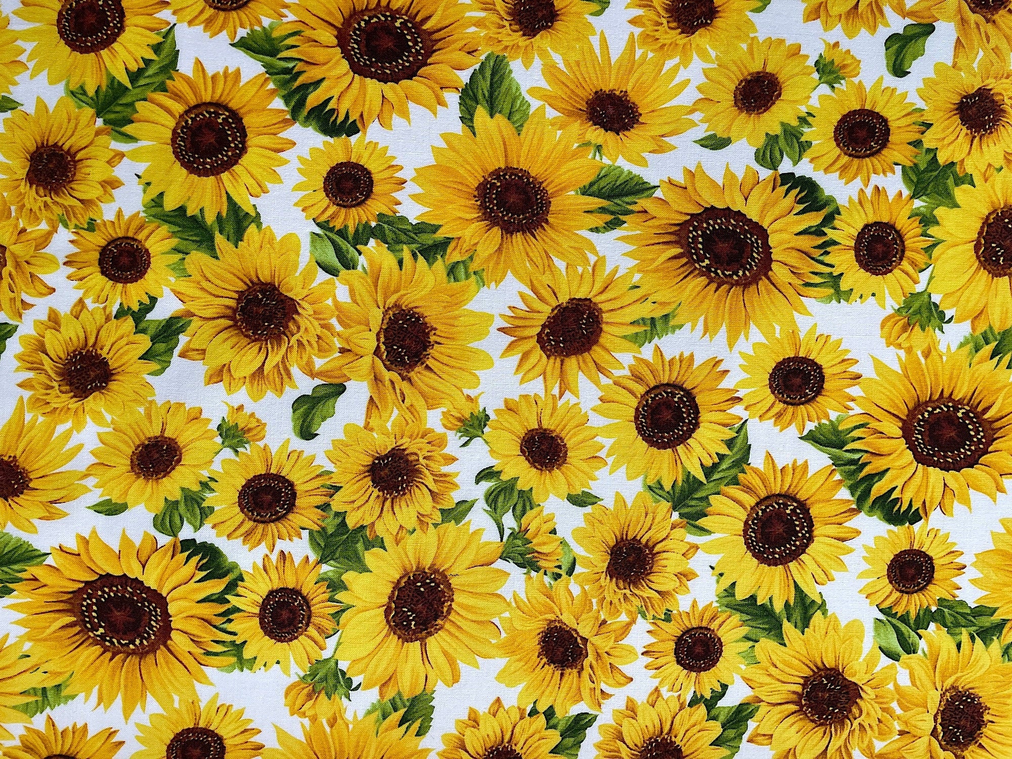Sunflower Fabric - Sunflower Sunrise - Sunflower Meadow - FL-260 - Etsy