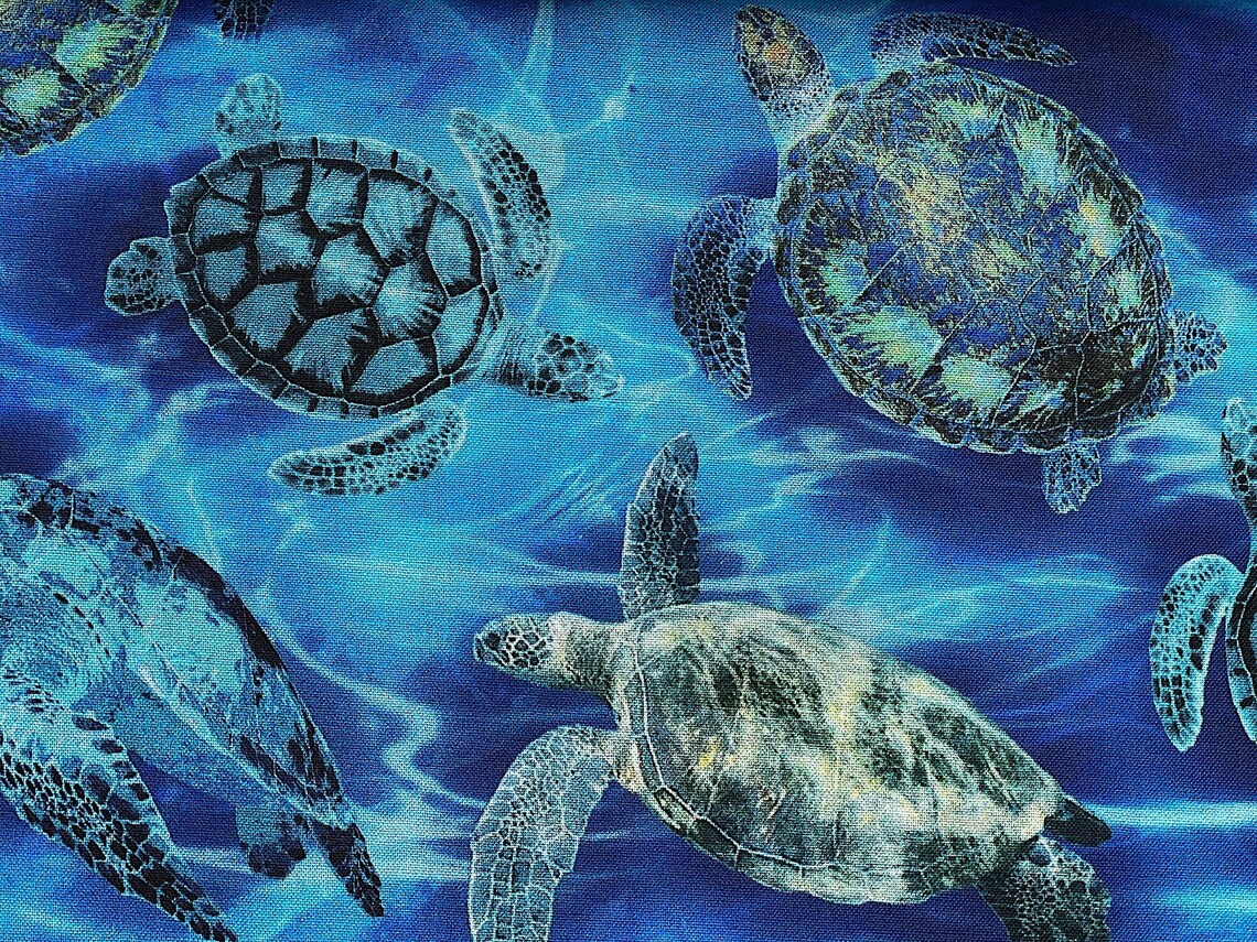 Sea Turtle Fabric - Ocean Fabric - Oceana - SL-66 - Etsy