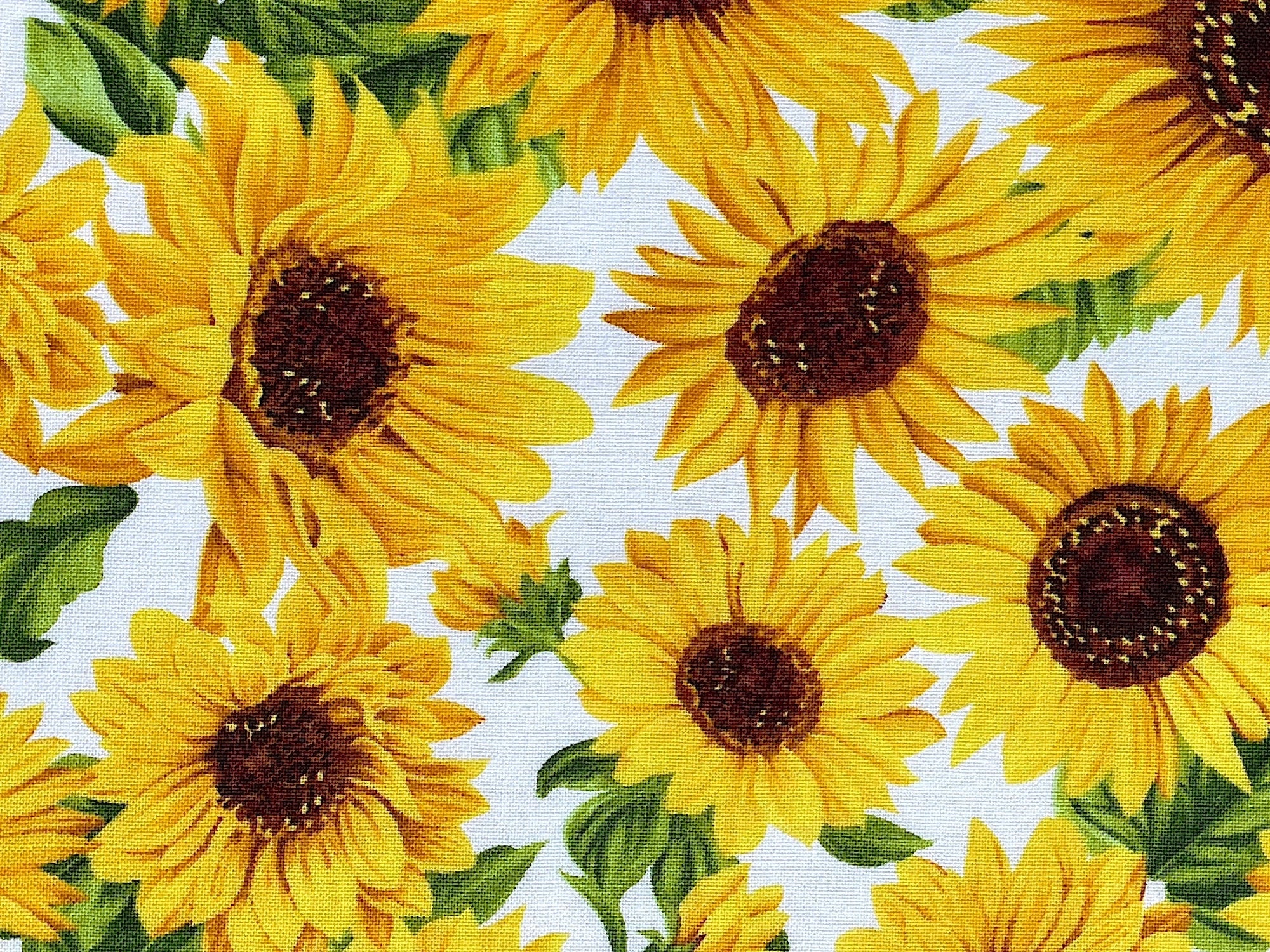 Sunflower Fabric - Sunflower Sunrise - Sunflower Meadow - FL-260 - Etsy