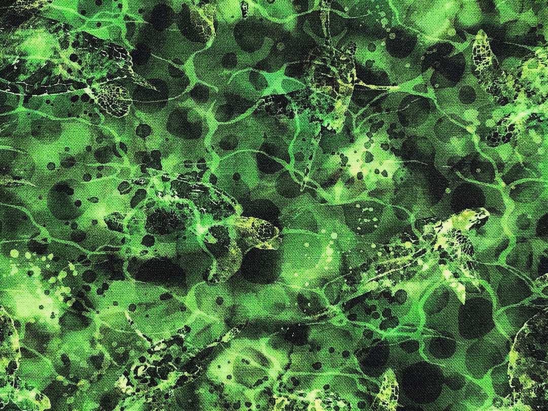 Green Turtle Fabric - the Reef Sea Turtles - Cotton Fabric - SL-44 - Etsy