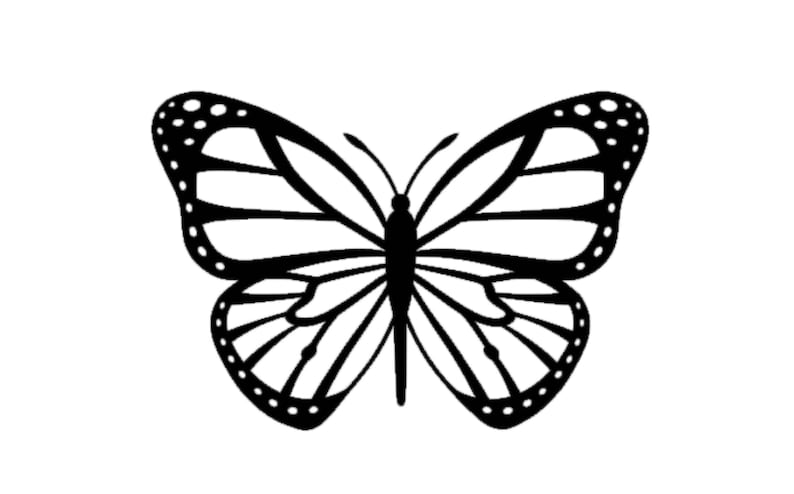 Butterfly Decal Butterfly Decal Butterfly Vinyl Decal | Etsy