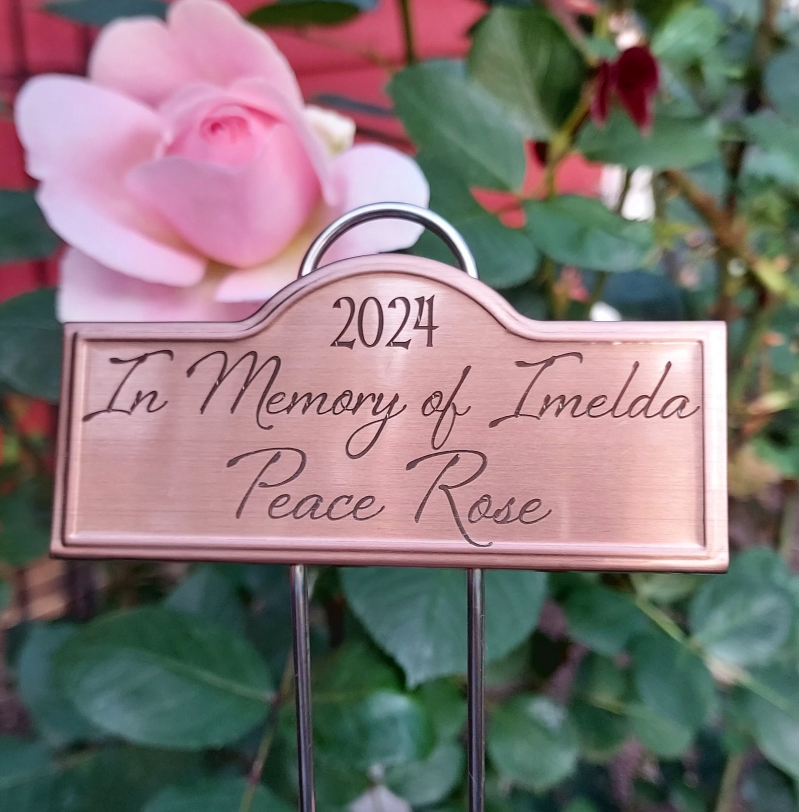 Custom Laser Engraved Copper Plant Rose Markers Stakes Garden ...
