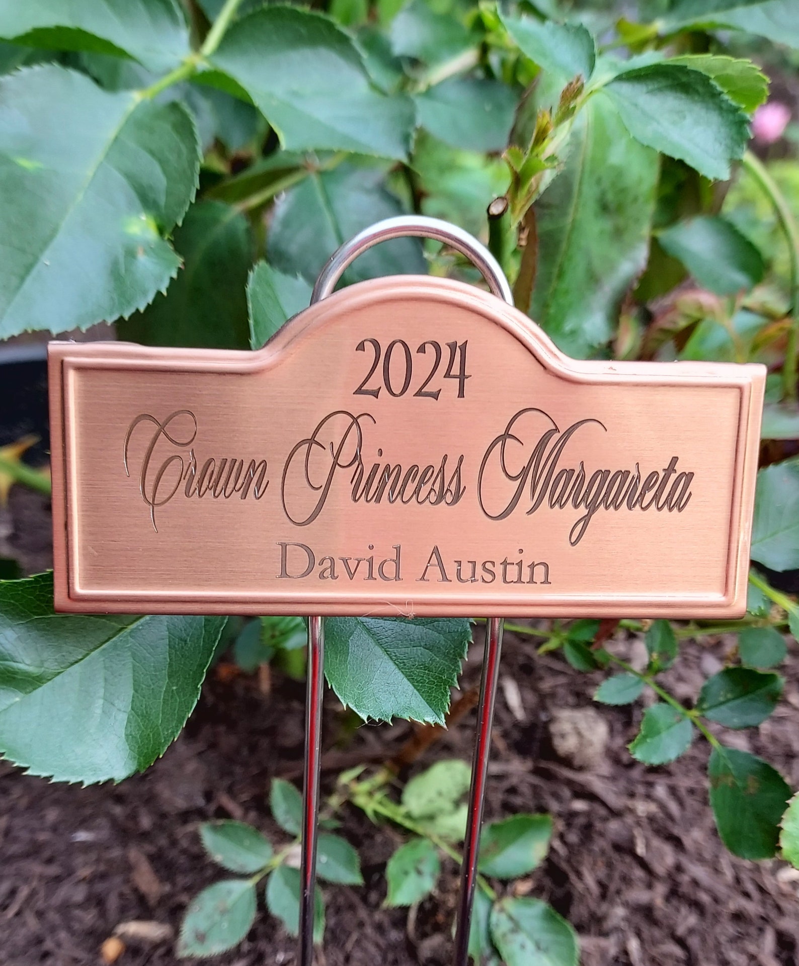 Custom Laser Engraved Copper Plant Rose Markers Stakes Garden ...
