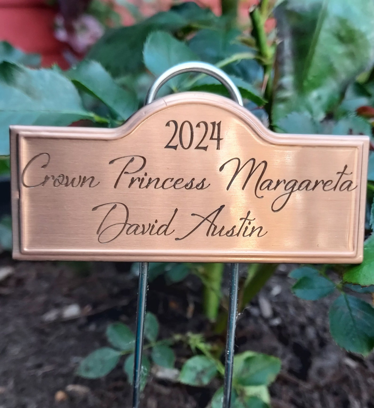 Custom Laser Engraved Copper Plant Rose Markers Stakes Garden ...