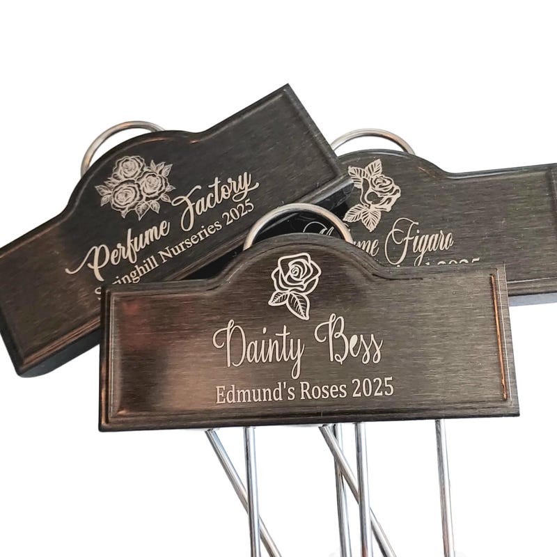 Steel Rose Plant - Etsy