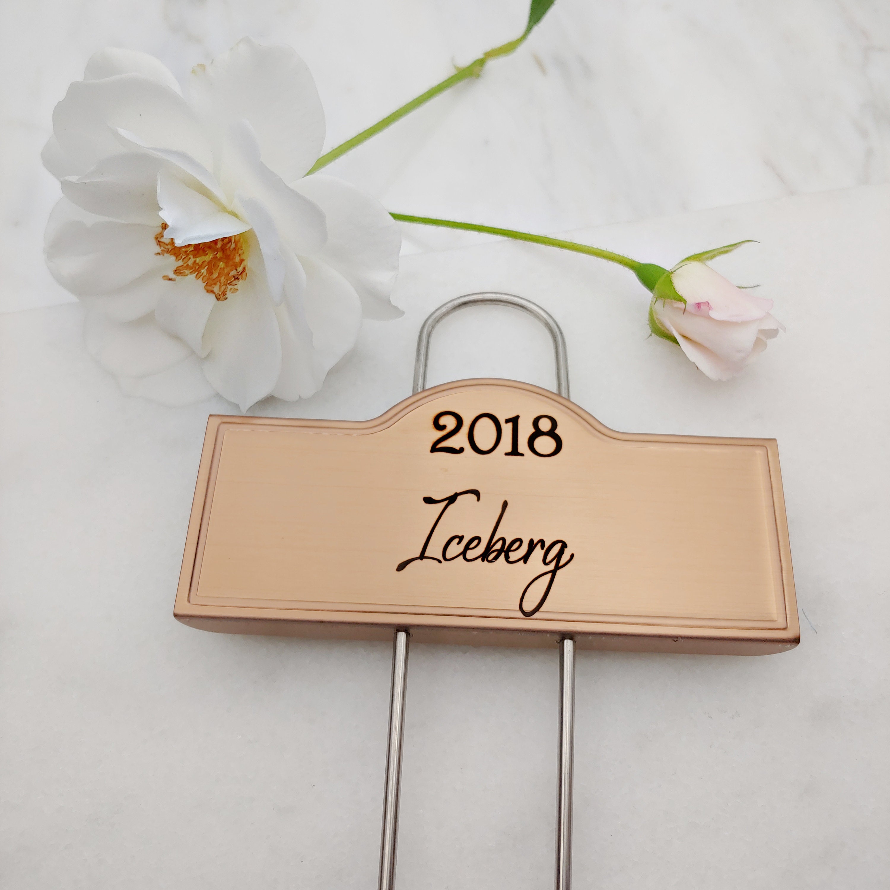 Custom Laser Engraved Copper Plant Rose Markers Stakes Garden | Etsy