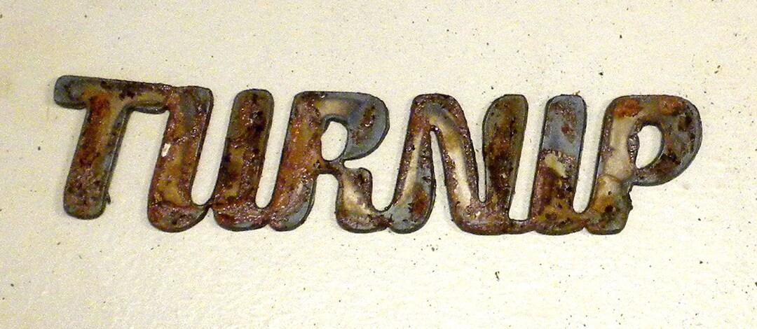 6 Inch Word TURNIP Script Style Rusty Vintage Metal Steel Wall - Etsy
