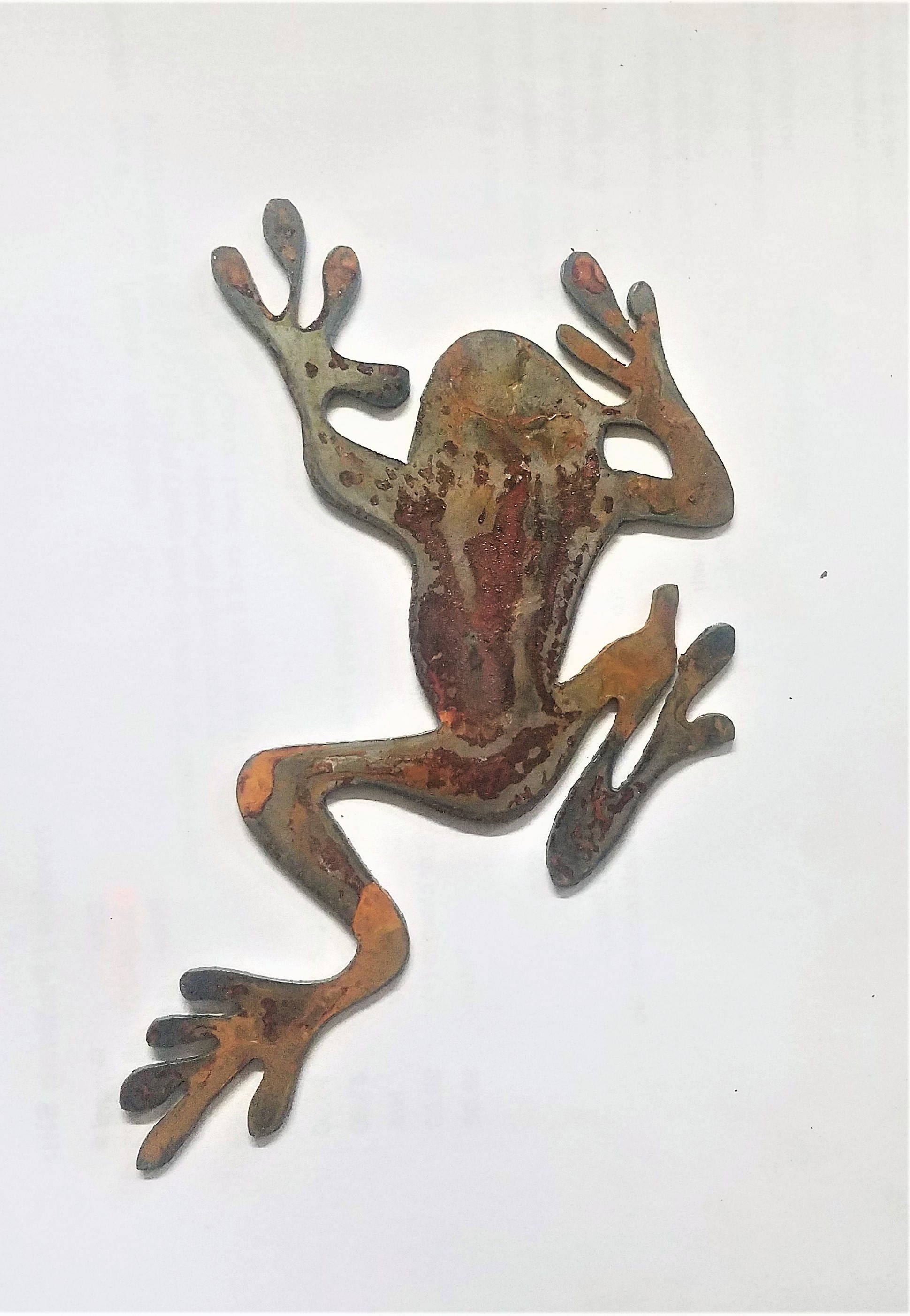 Climbing Tree Frog Drawings