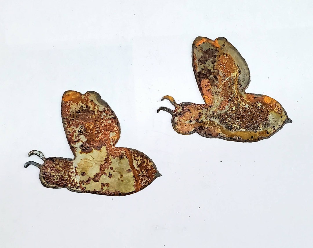 Lot Set of 2 Cute Bee Bug Insect Shapes 2 Inch Rough Rusty Metal Steel ...