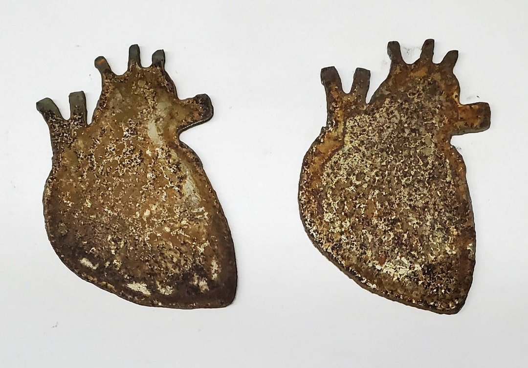 Lot Set of 2 Anatomical Heart Shape 3 Inch Rusty Vintage Antique-y ...