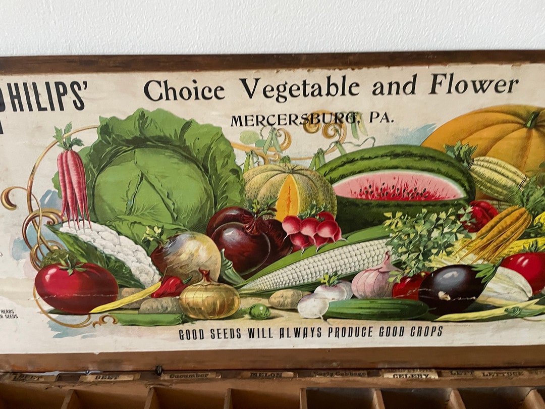 Antique Pennsylvania Store Seed Display Philip's Seeds, Mercersburg, PA ...