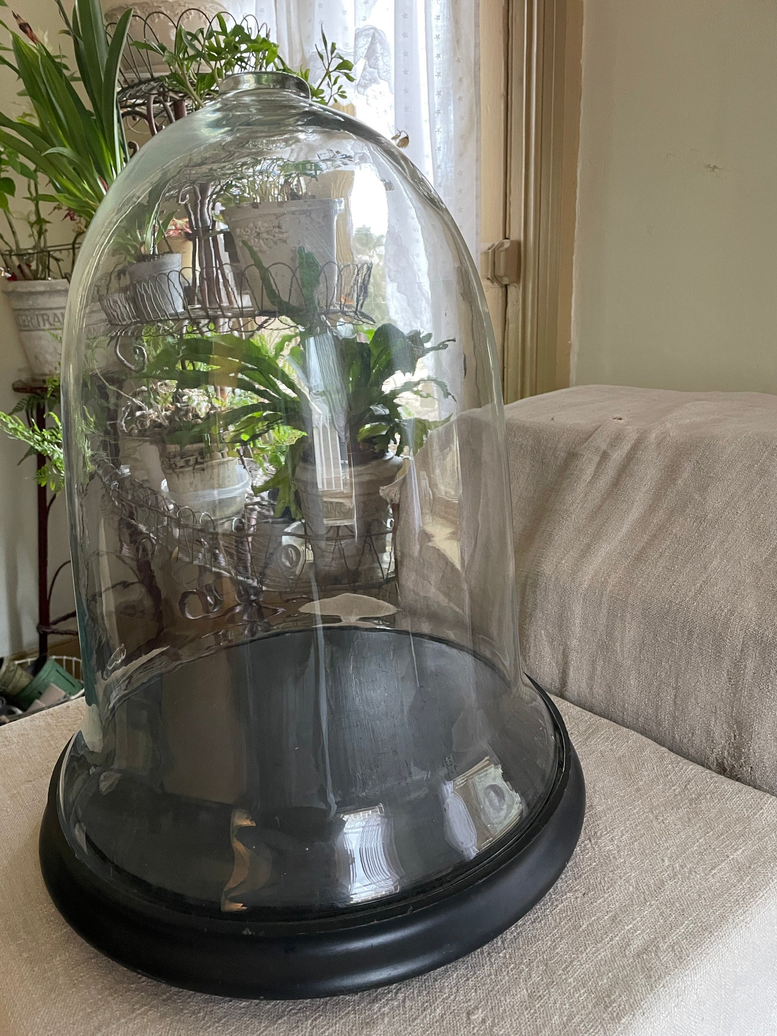 Antique Glass Cloche Extra Large - Etsy