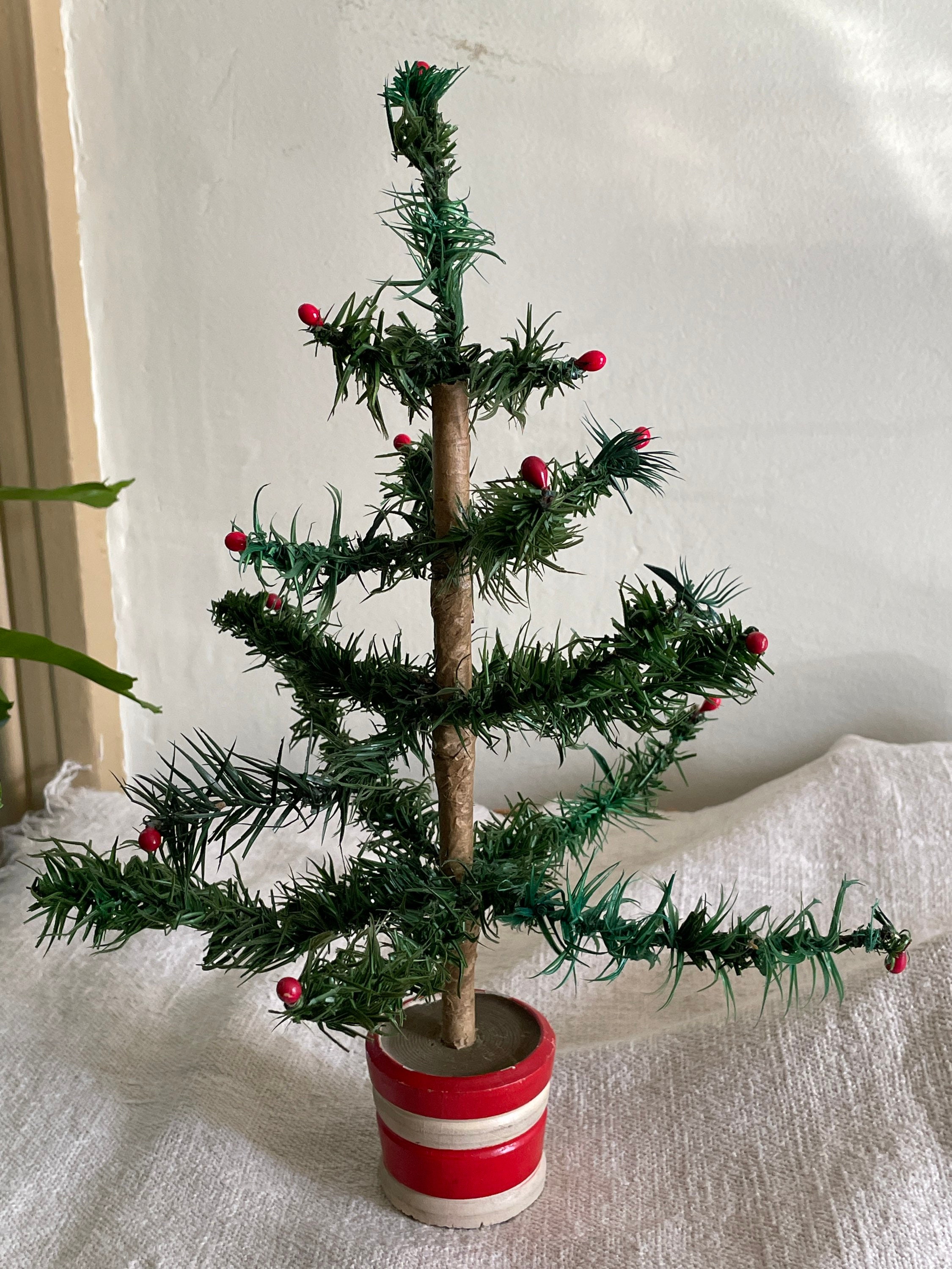 German Feather Trees