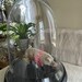 Antique Glass Cloche Extra Large - Etsy