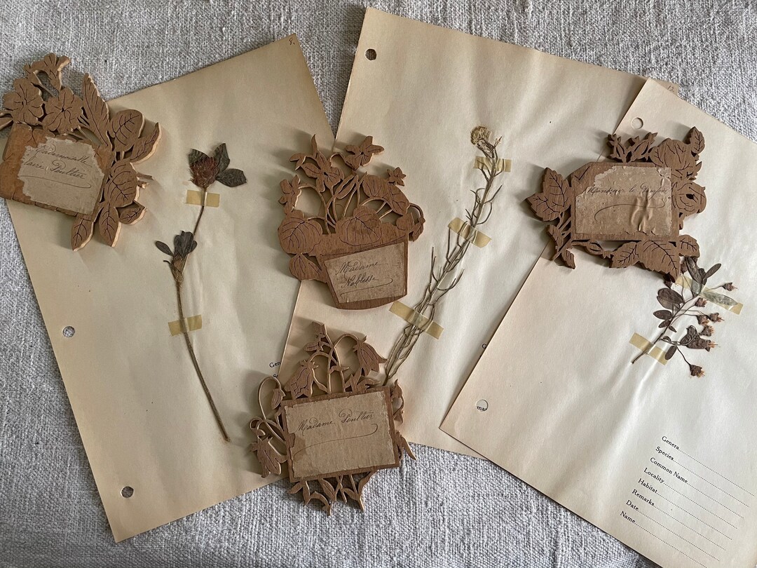 Antique French Flower Place Card - Etsy