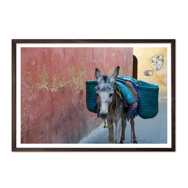 Donkey Print - Etsy Sweden