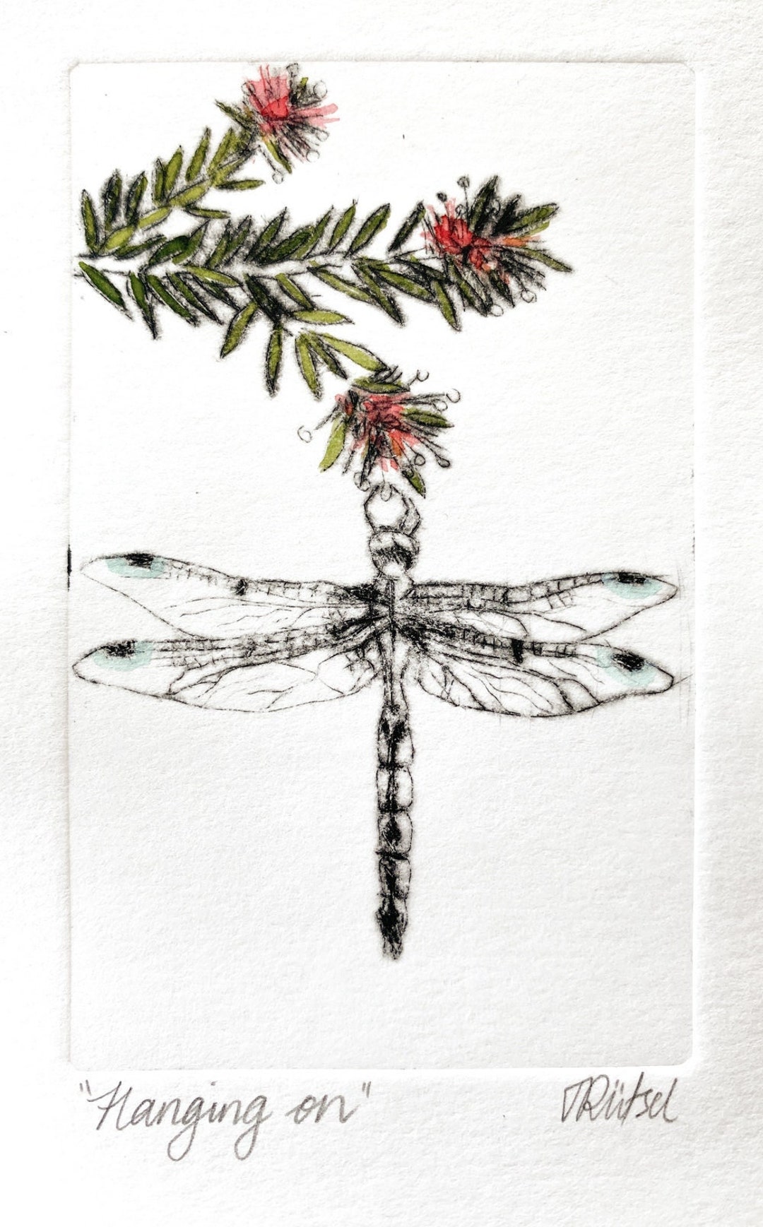 Dragonfly Intaglio Print, Drypoint Artwork - Etsy