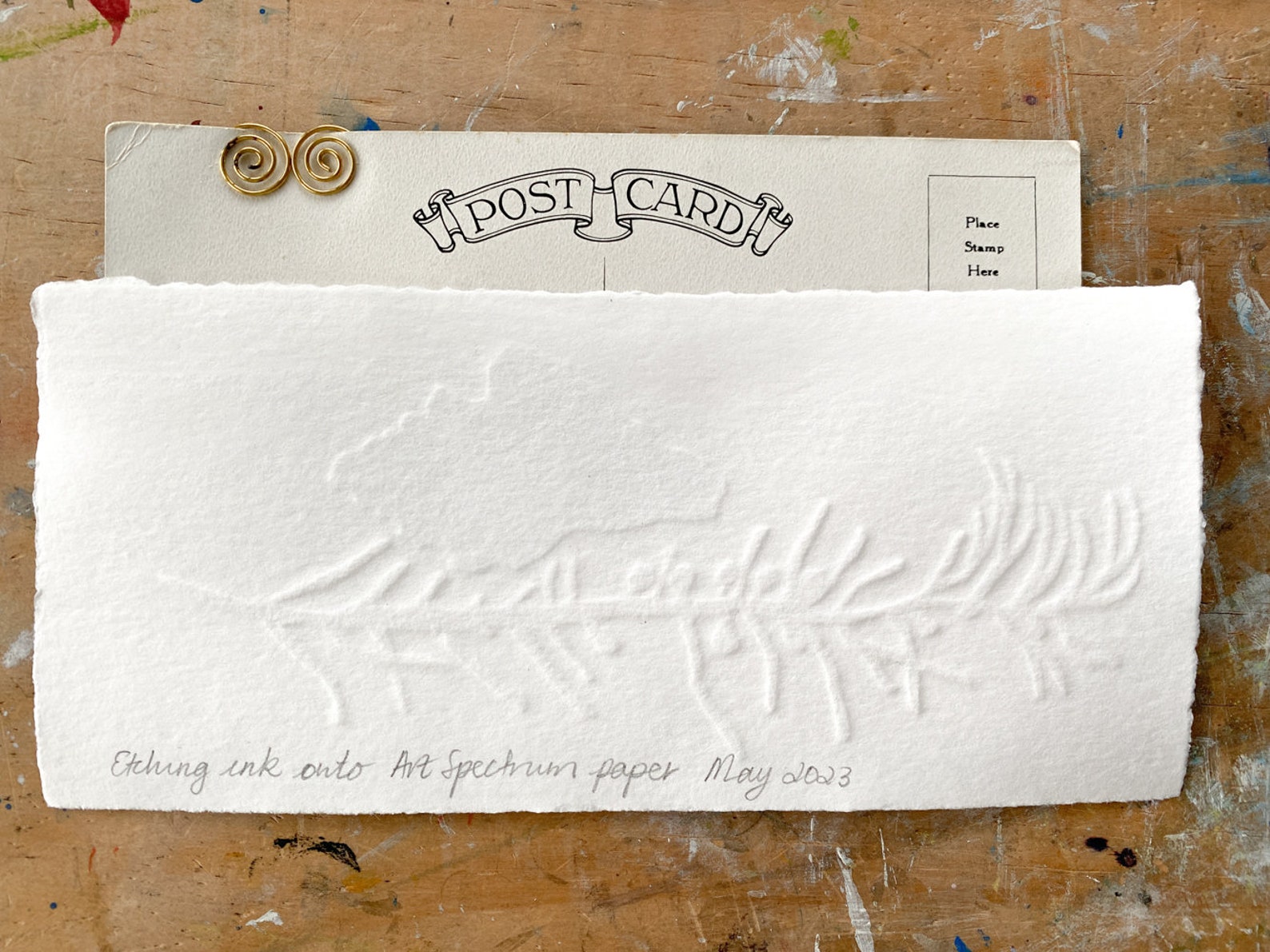 Original Intaglio Print Shell Artwork Beach Art Printmaking - Etsy