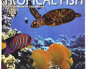 Fish Calendar | Etsy