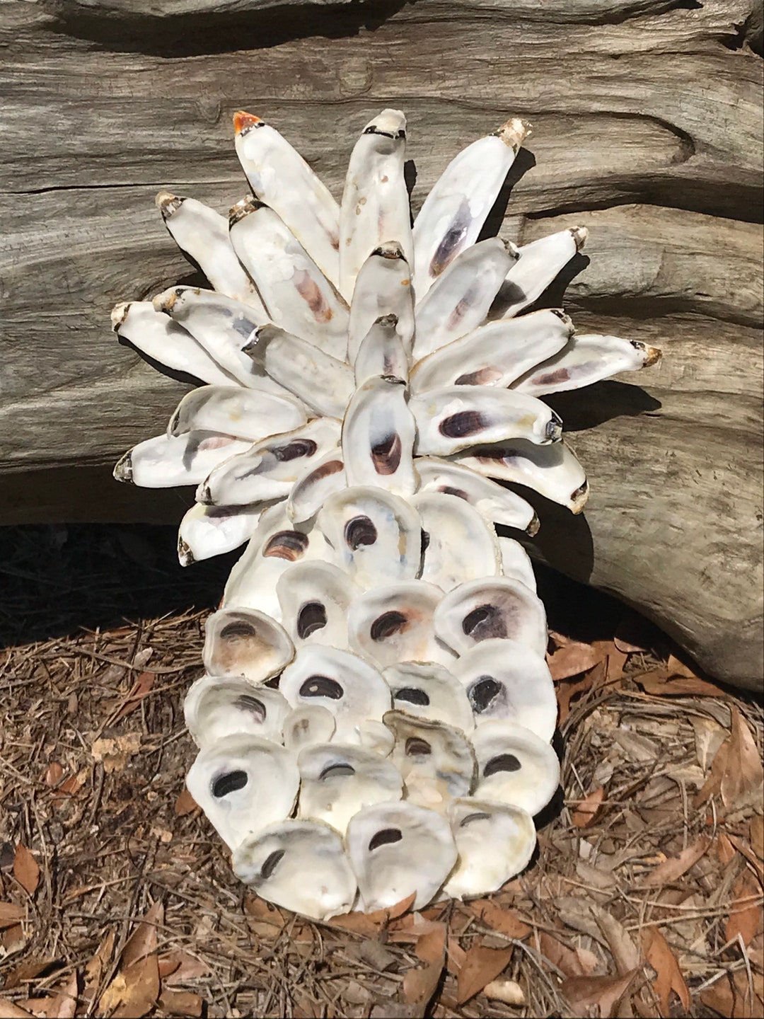 Oyster Shell Pineapple - Mother’s Day - Welcome - Beach - Spring ...