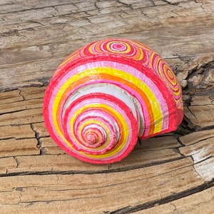 Hand Painted Seashell Channel Whelk Sunshine Pawleys Island South ...